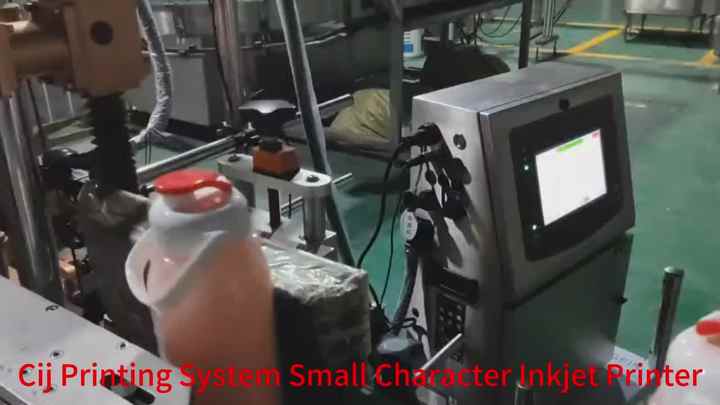 Small Character Inkjet Printer CIJ Printer for Food Chemical Date ...