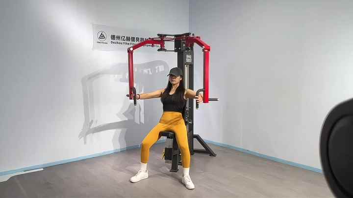 Butterfly Chest Fly Machine Compact Home Gym Equipment for Personal ...