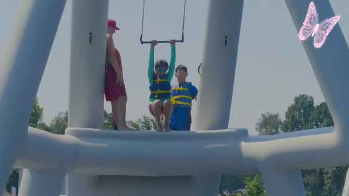 Docteur Dauphin Inflatable Water Slide - Best Big Blue Doctor Dolphin