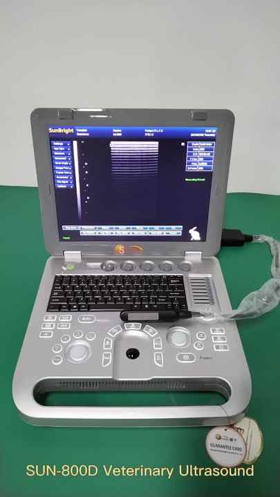 Farm Vet Cattle Horse Portable Ultrasound Machine with Rectal Probe
