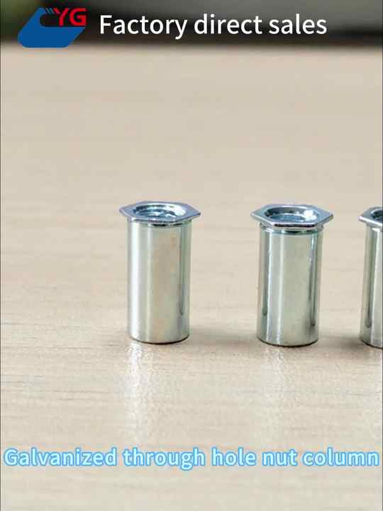 Through-Hole Stainless Steel ISO Rivet Bolt Smooth Cylindrical ...