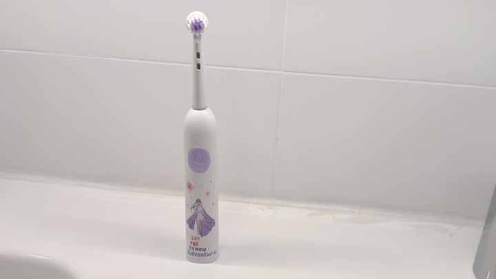New Advanced Rotating Sonic Electric Toothbrush IPX7 Waterproof with ...