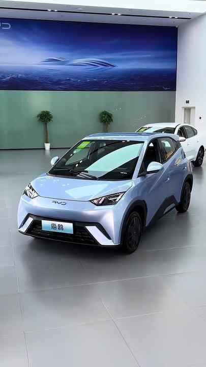 BYD Seagull 2025 Electric Vehicle Chinese New Car Daily Commute Freedom ...
