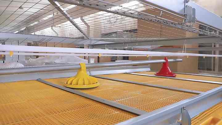 New Plastic PP Chicken Coop Floor for Farm Use Animal Husbandry ...