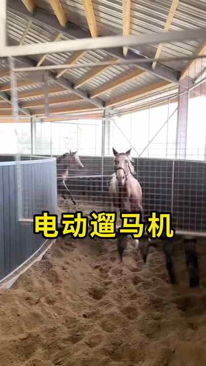 Horse Walker Running Machine Motor for 6/8 Position With Electric Fence ...