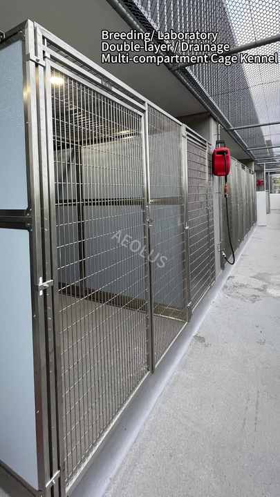 Professional Custom Isolation Dog Kennels Steel Dog Kennels Pet Box ...