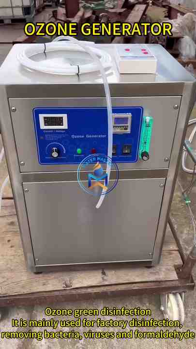 1000mg/h Ozone Generator for Odor Elimination, Mold Removal, and Car ...