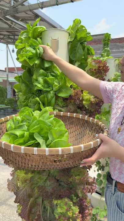 9-layer Hydroponic Tower - Efficient Indoor Farming