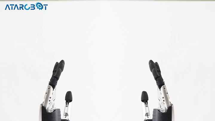 Dexterous Hand Bionic Hand 6 Degrees of Freedom Manipulate Tools and ...