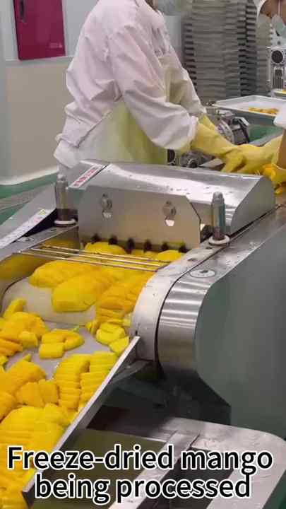 TP 1kg Bulk Freeze Dried Mango - Healthy Snack Option