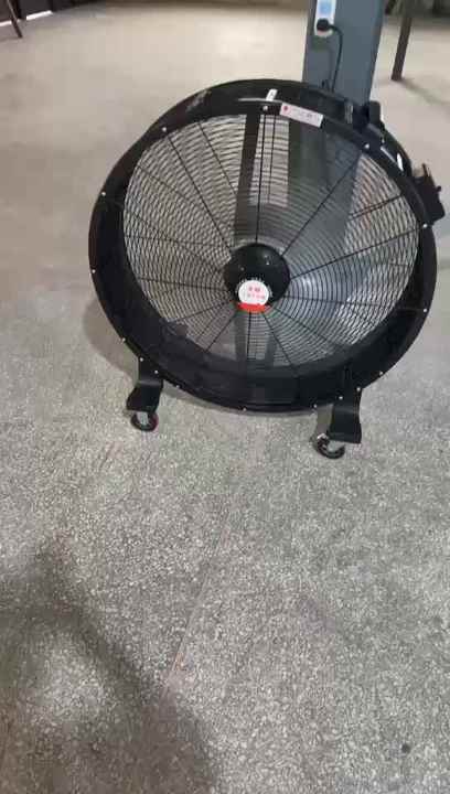 220V Industrial Powerful Movable Fan for Workshop & Factory
