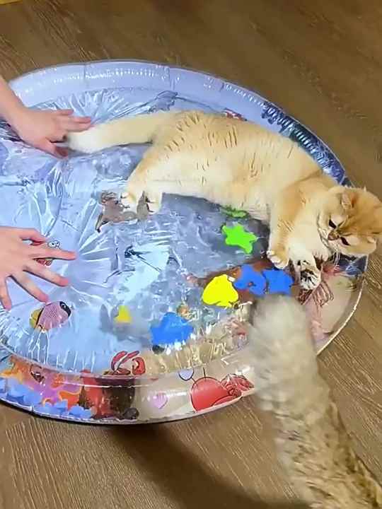 Upgraded Interactive PVC Round Cat Water Play Mat Anti-Scratch Sensory ...
