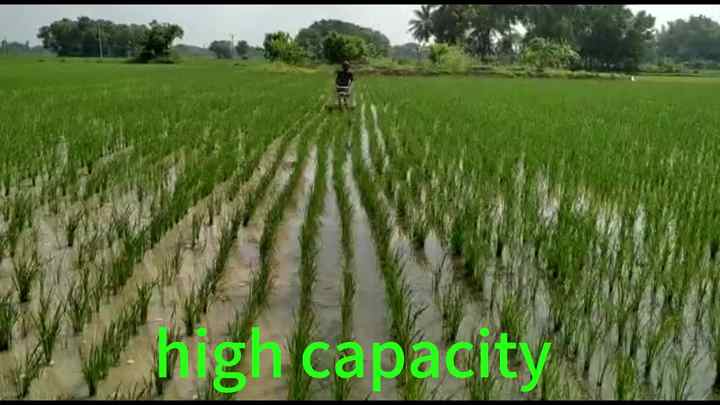 Mini Gasoline Power Single Paddy Weeder 3 Row Mini inter Row Paddy ...