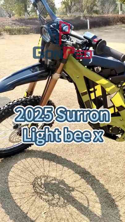 Surround Light Bee X 2025 8kw Light Bee X 2025 Adult Electric Off-Road ...