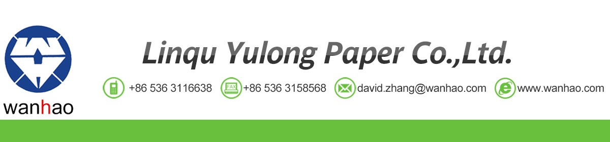 Company Overview - Linqu Yulong Paper Co., Ltd.