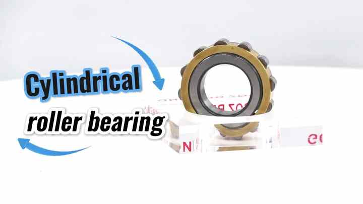 30x53.5x16 mm Eccentric Bearing Eccentric Roller Bearing RN206 RN 206 M ...
