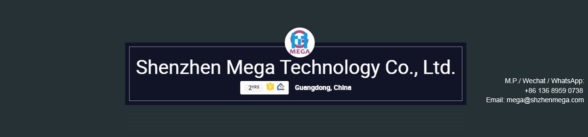 Company Overview - Shenzhen Mega Technology Co., Ltd.