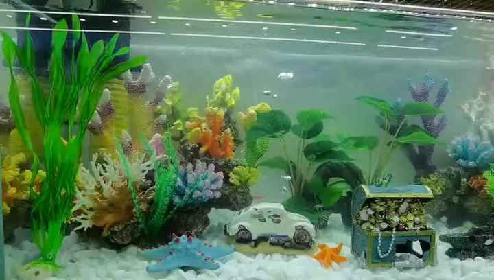 Modern Eco-Friendly Rainforest Landscaping Water Grass Tanks Land Tanks ...
