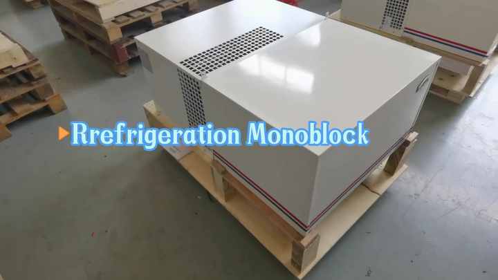 Roof-mounted Monoblock Condenser Refrigeration Condensing Unit for Cold ...