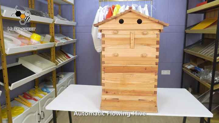 Self-Flowing Beehive Box with 7 Auto Frames – China Fir Wax Coated ...