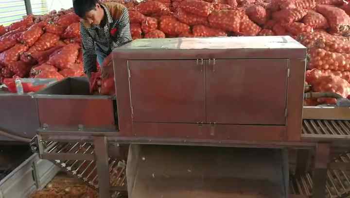 Big Capacity Onion Peeling Machine, Onion Skin Peeler Machine, Onion ...