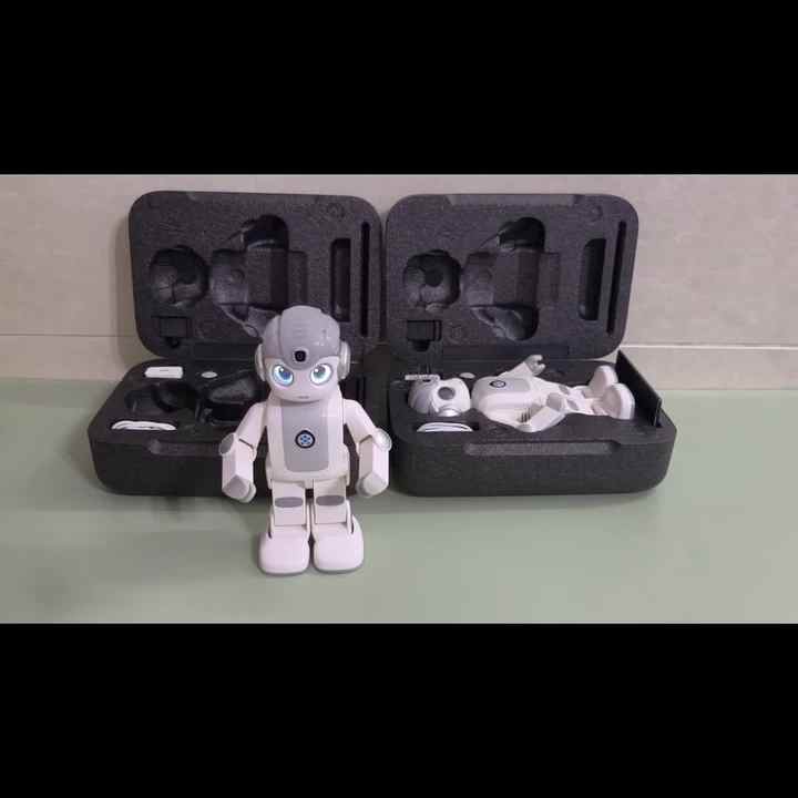 UBTECH Educational Kids STEM AI Walking Robot Toy-Multi-function ...