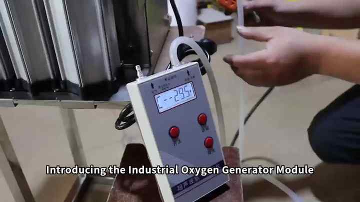Industrial Oxygen Concentrator Efficient PSA Oxygen System Module 10LPM ...