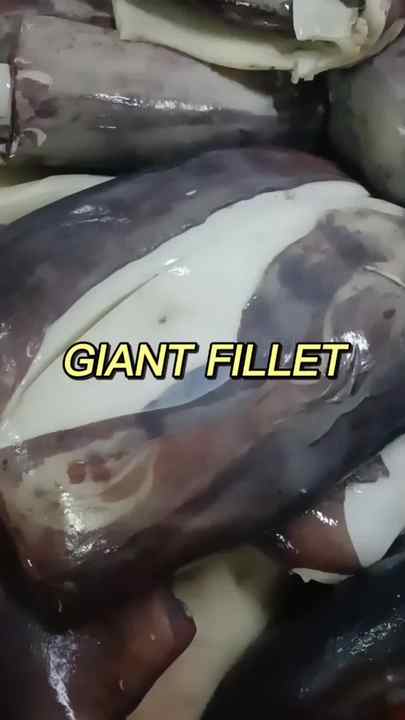 X3255 Frozen Boiled Giant Squid Wing Manufacturer 500g+ DOSIDICUS GIGAS ...