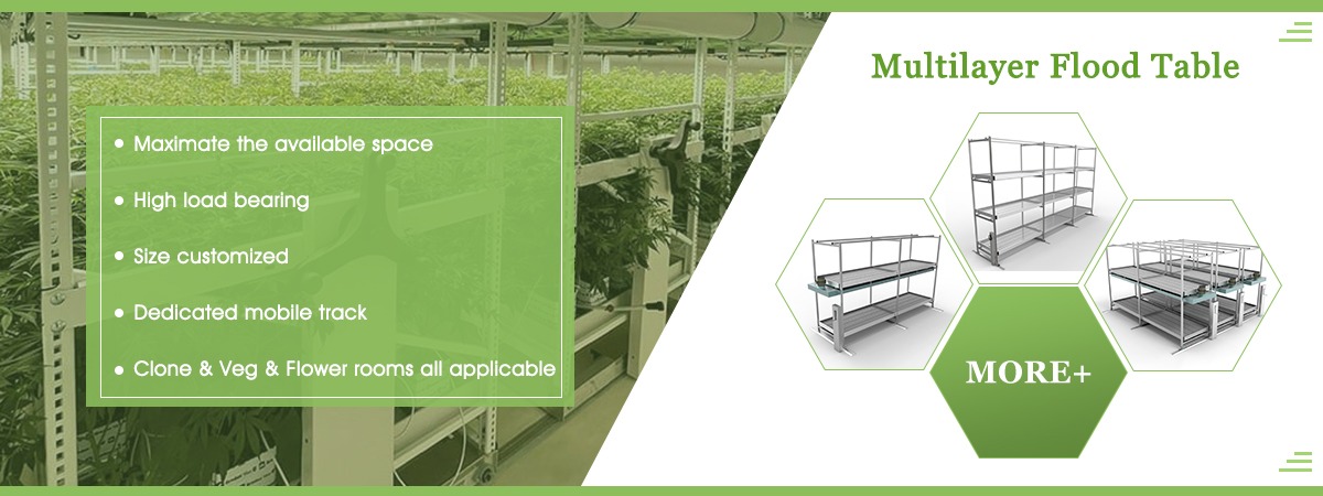 Shanghai Dehuan Industry Co., Ltd. - Irrigation and hydroponic equipment