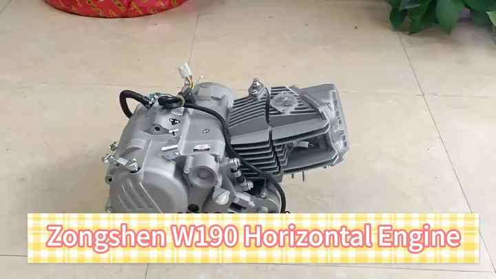 CQHZJ Zongshen Sport Motorcycle W190 Pit Bike 190cc 2-valves 4-stroke ...
