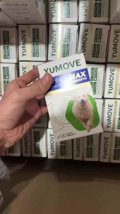 OEM ODM Senior Dogs Joint Care Tablets-120 Tasty Tablets Chewable ...