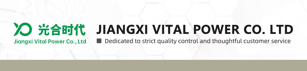 Jiangxi Vital Power Co., Ltd. - Power Station, Battery