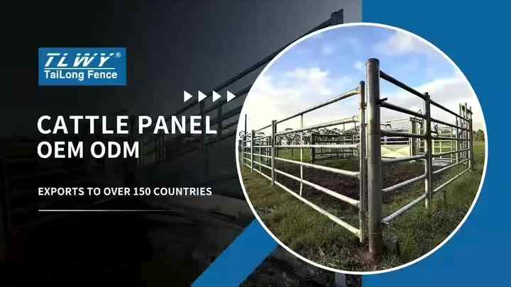 Livestock Galvanized Cattle Welded Fence Panel/wholesale Bulk Cattle ...