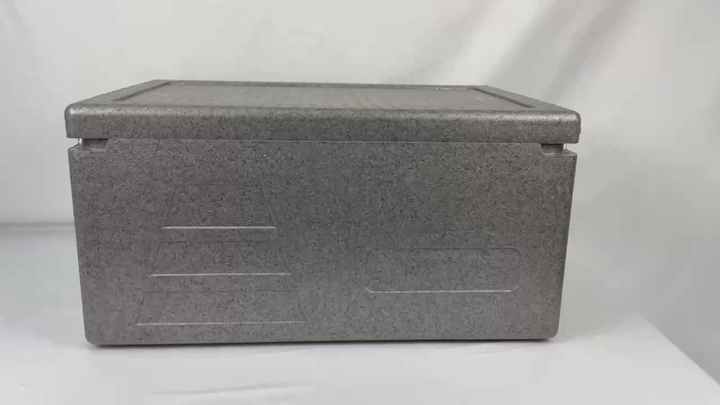 EPP-42 OEM Custom Lightweight EPP Foam Insulated Cooler Box for Outdoor ...
