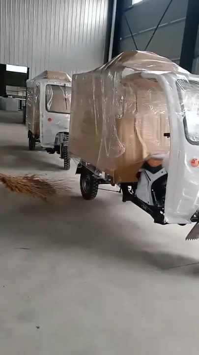 3 Wheel Tricycle Motorcycle Refrigerator for Ice Cream Delivery - Cargo ...