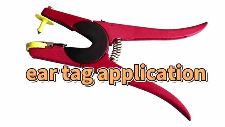 High Quality Goat Ear Tags Applicator Metal Ear Tag Applicator Cow Pig ...