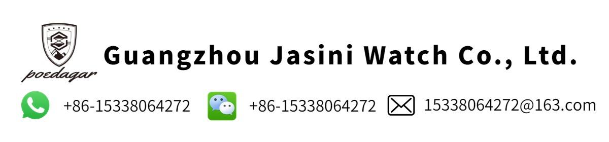 Company Overview - Guangzhou Jasini Watch Co., Ltd.