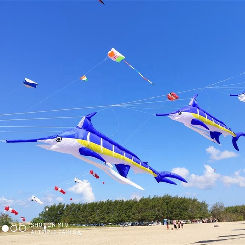 Soft Inflatable Show Kites, Soft Inflatable Show Kites direct from ...