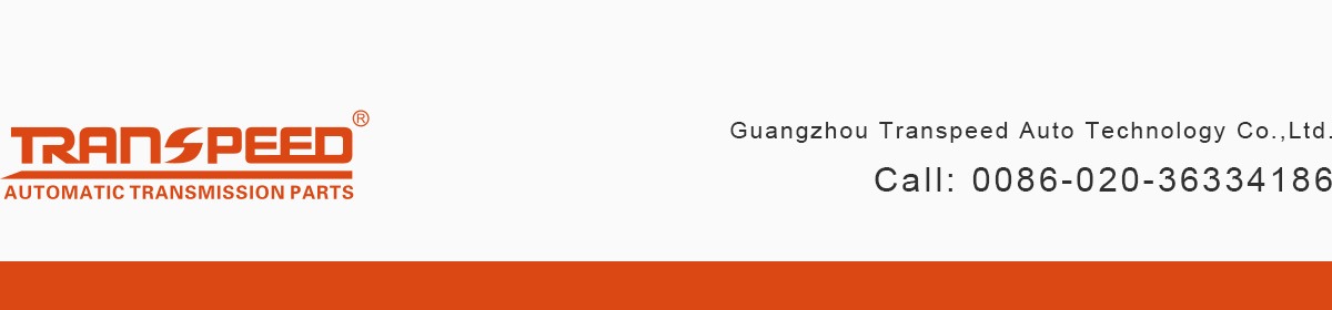 Guangzhou Transpeed Auto Technology Company Limited - Automatic ...