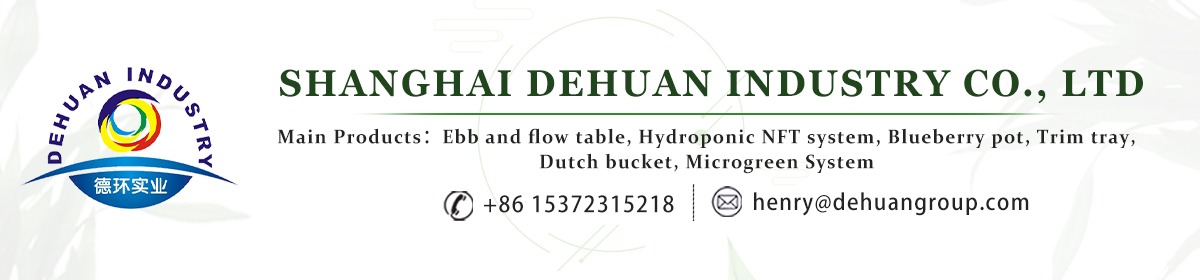 Company Overview - Shanghai Dehuan Industry Co., Ltd.