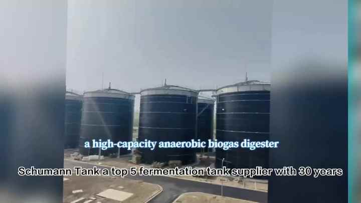 10000m3 Bolted Steel Anaerobic Biogas Digester Reactor CSTR Biogas ...
