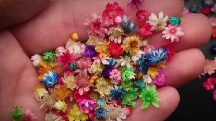 1g/bag DIY Flower Dry Brazil Little Star Flower for Crafts