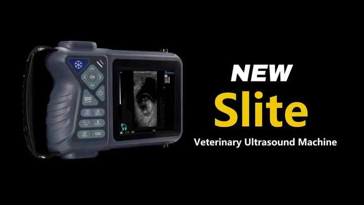 Dawei Cow Ultrasound Pregnancy Portable Ultrasound Machine Veterinary ...