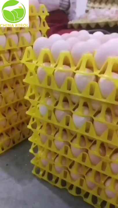 30 Holes Chicken Eggs Tray Thicken and Strengthen Type Stackable Egg ...