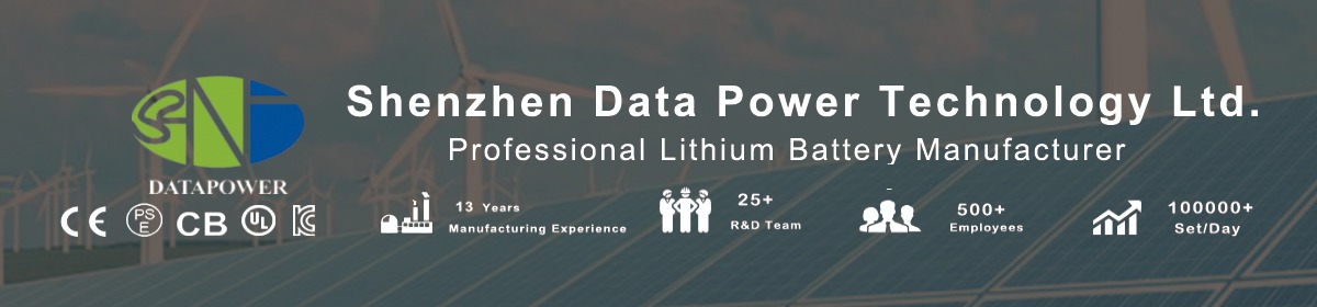 Shenzhen Data Power Technology Ltd. - Lithium Polymer Battery, Li ...