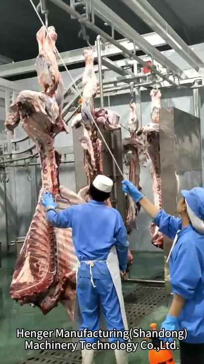 Turnkey Slaughterhouse Solutions Complete Slaughter Lines Butcher Gear ...