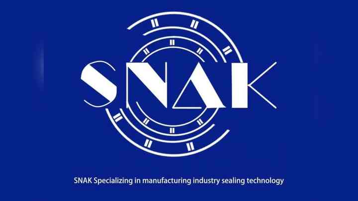 SNAK定制汽车零件离合器主缸修理包活塞套件04311-20050汽车修理工具附件| Alibaba.com