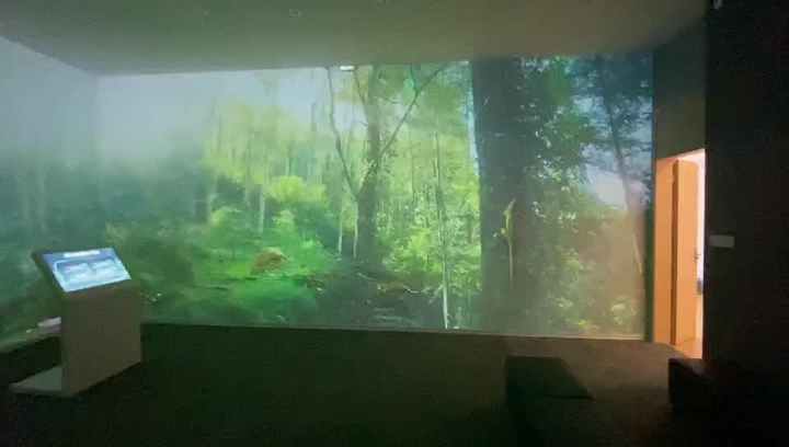 Immersive Interactive Projection for Museums - Kids Science Exhibits ...