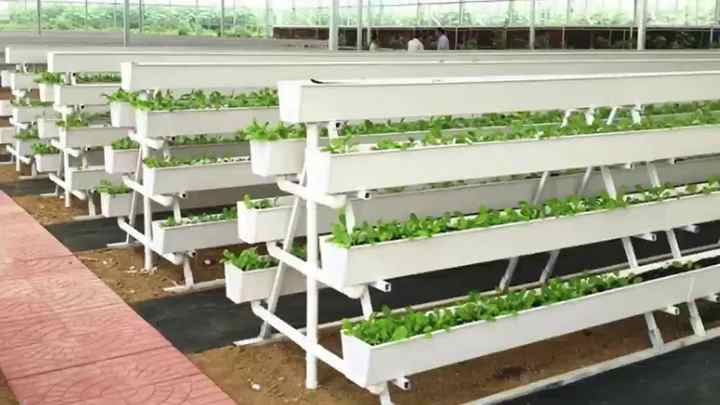 Nft Grow Vertical Farming System Pvc Strawberry Cultivation Pot With ...