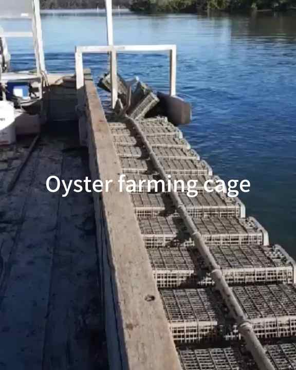 Double-Layer Oyster Basket Flexible HDPE Injection Molded Plastic ...